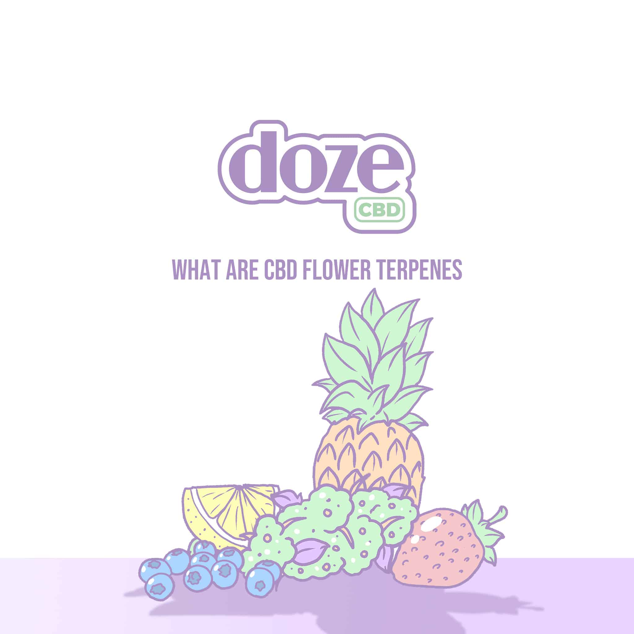 What are CBD Flower Terpenes? – doze cbd