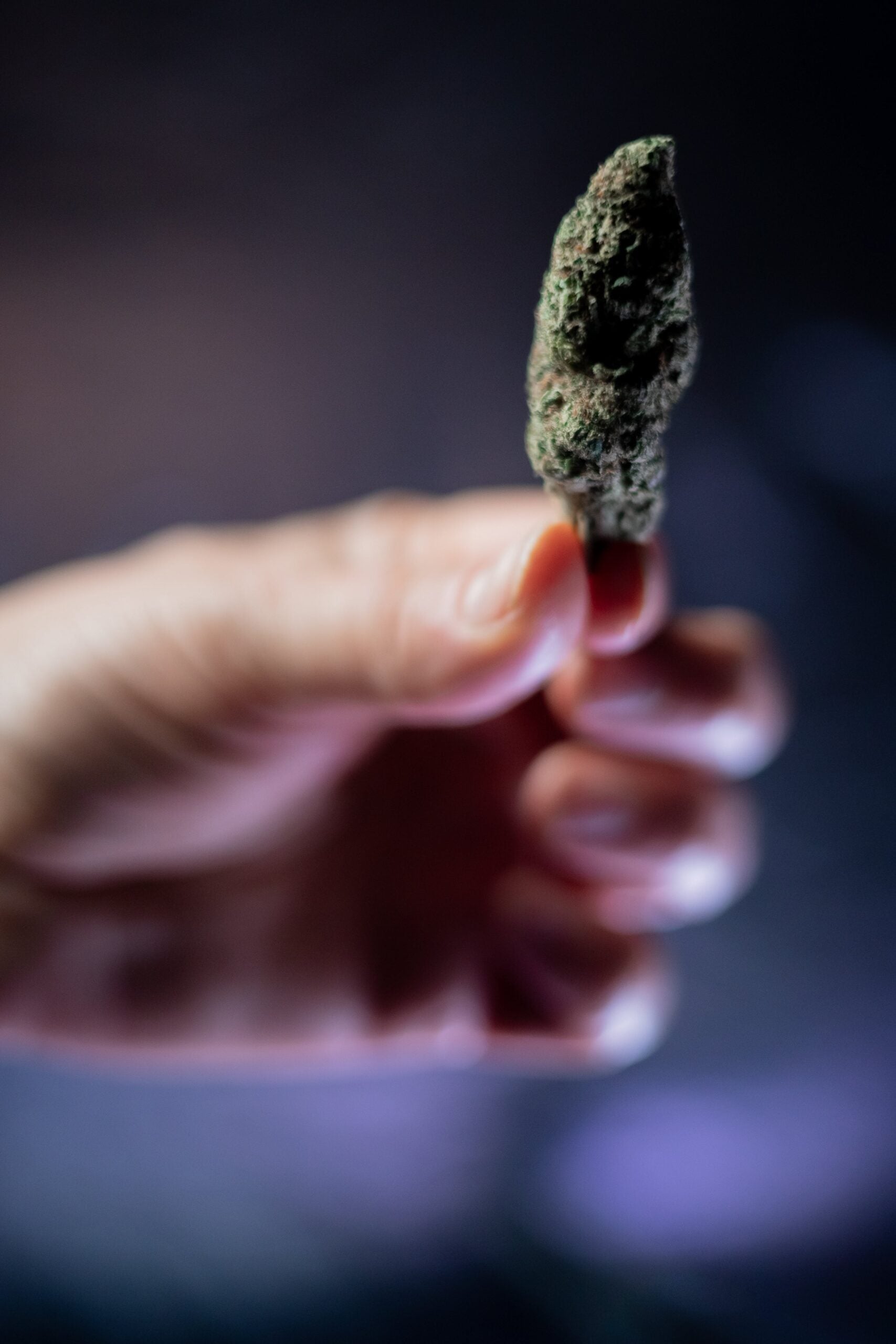 Cost of 1kg CBD in the UK – Current Prices – doze cbd